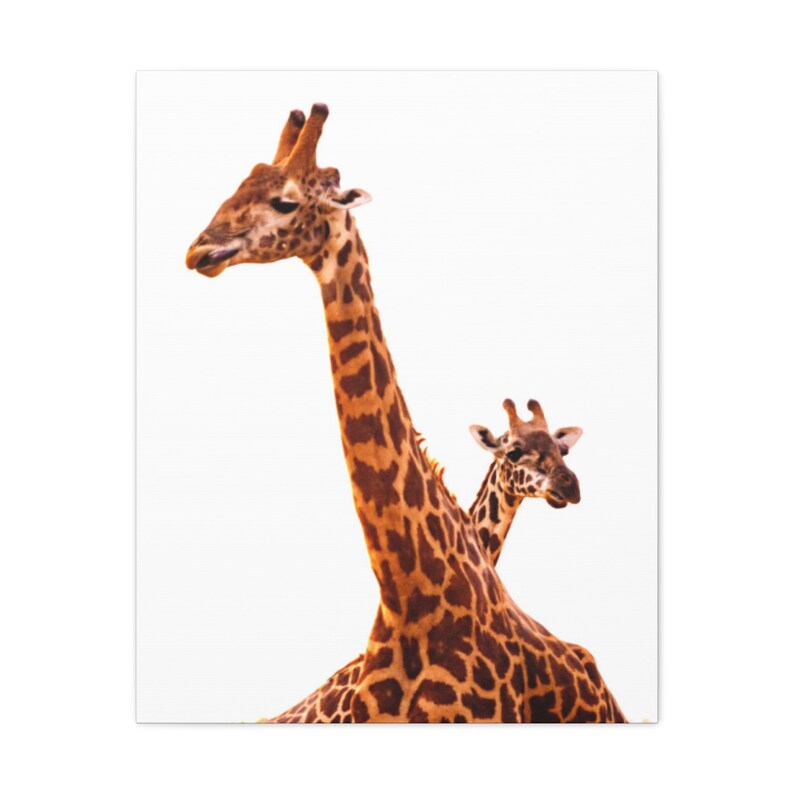 2 Giraffe Canvas Print,giraffes Canvas Wall Art,african Wall Art ...