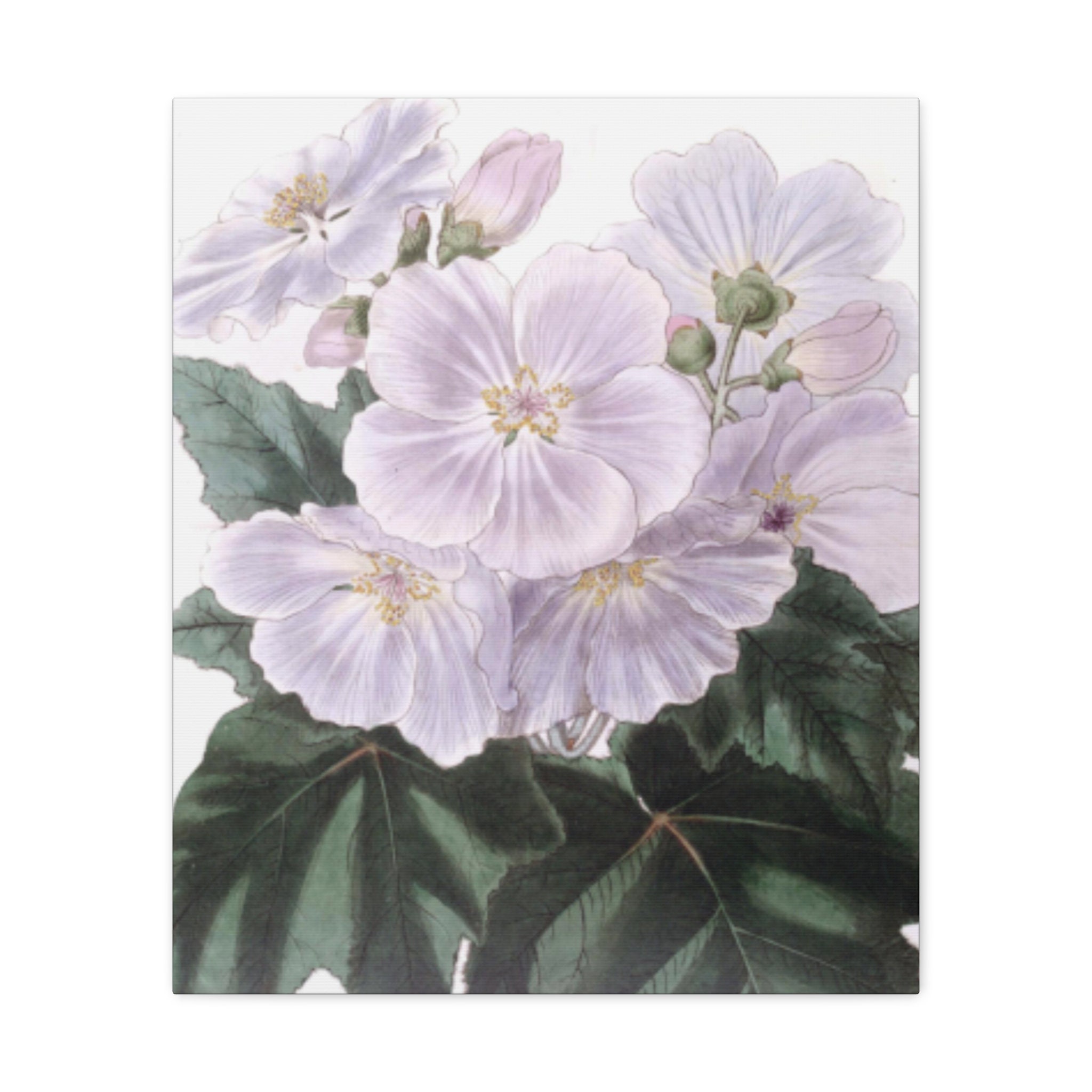 Purple Flowers Canvas Print,flower Canvas Print,floral Canvas Print ...