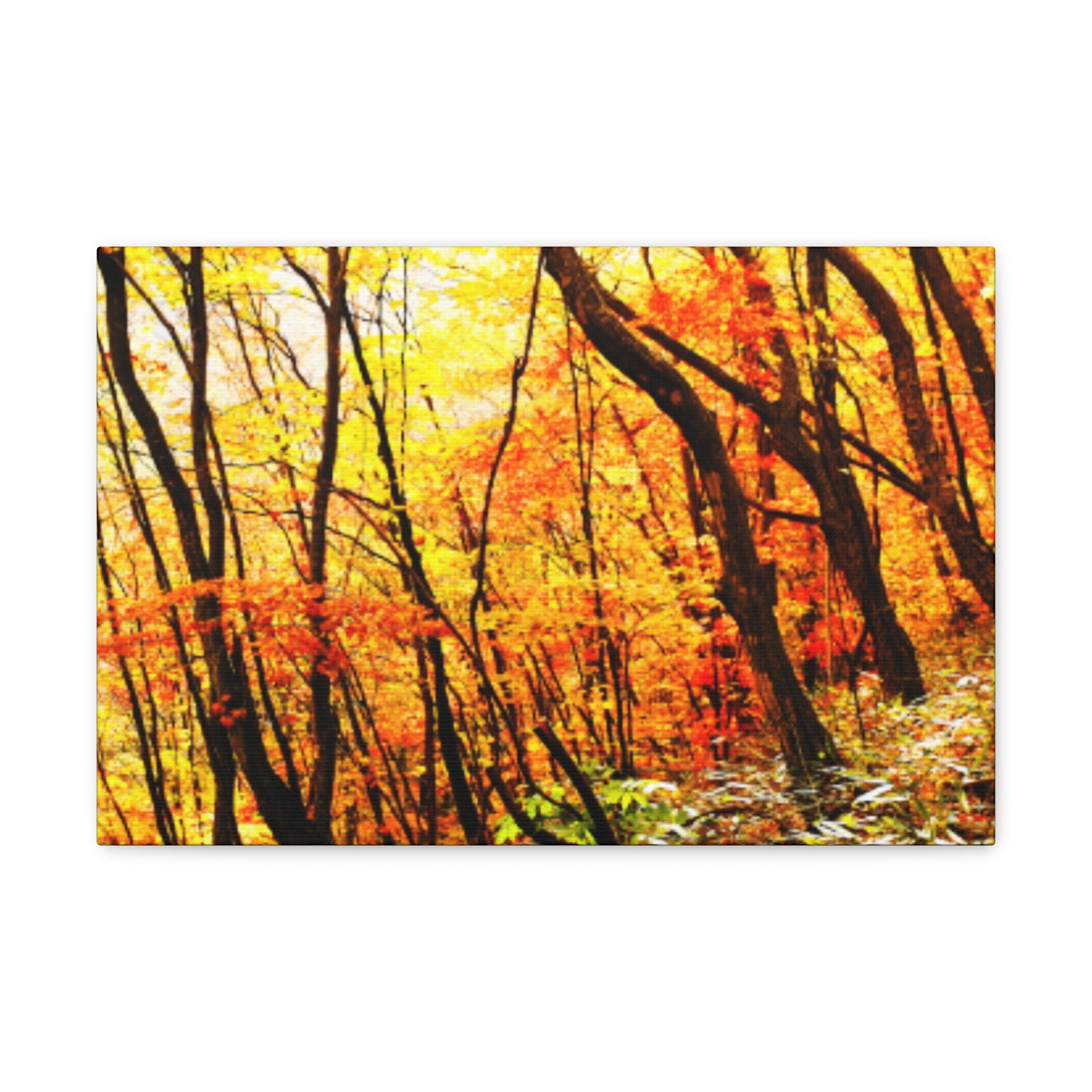 Autumn Fall Trees Canvas Print,forest Landscape Tree Wall Art,forest ...