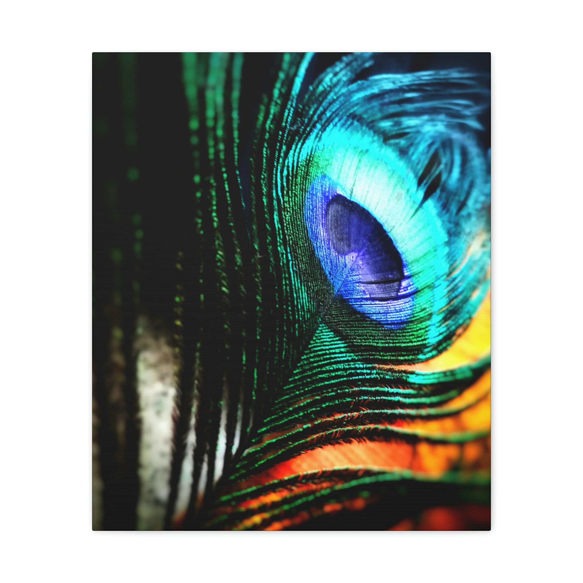 Abstract Peacock Feather Canvas Printpeacock Feathers Canvas - Etsy