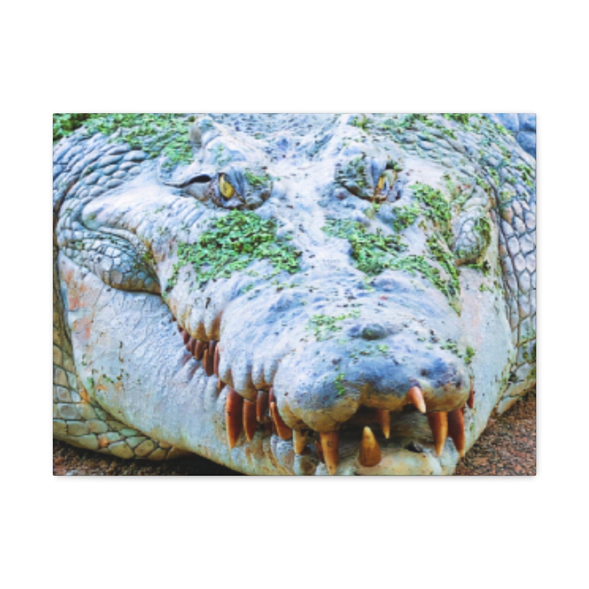 Crocodile Print,crocodile Wall Print,crocodile Decor,crocodile Print ...