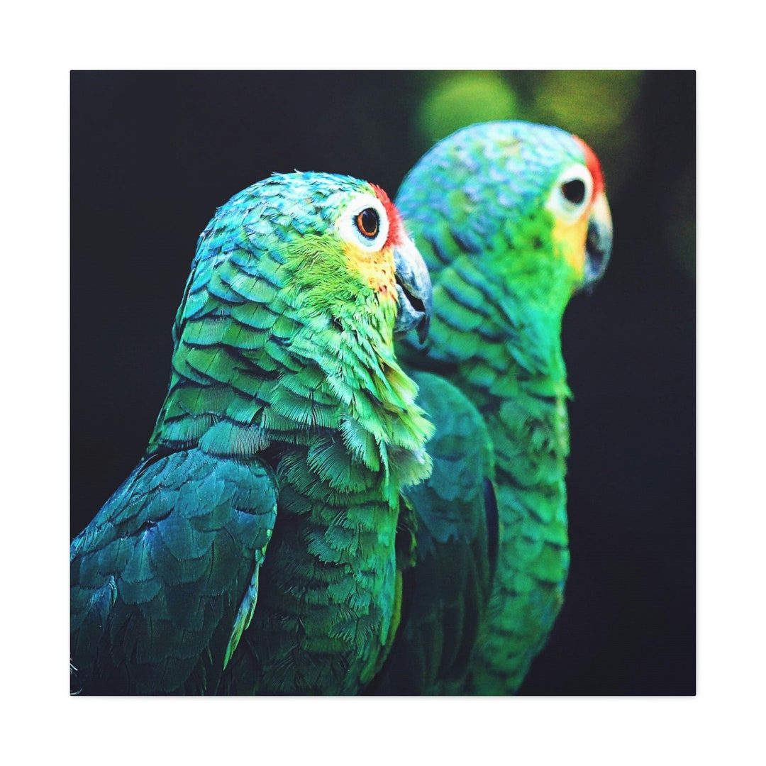 Beautiful Blue Green Parakeets Canvas Printparakeet Wall - Etsy