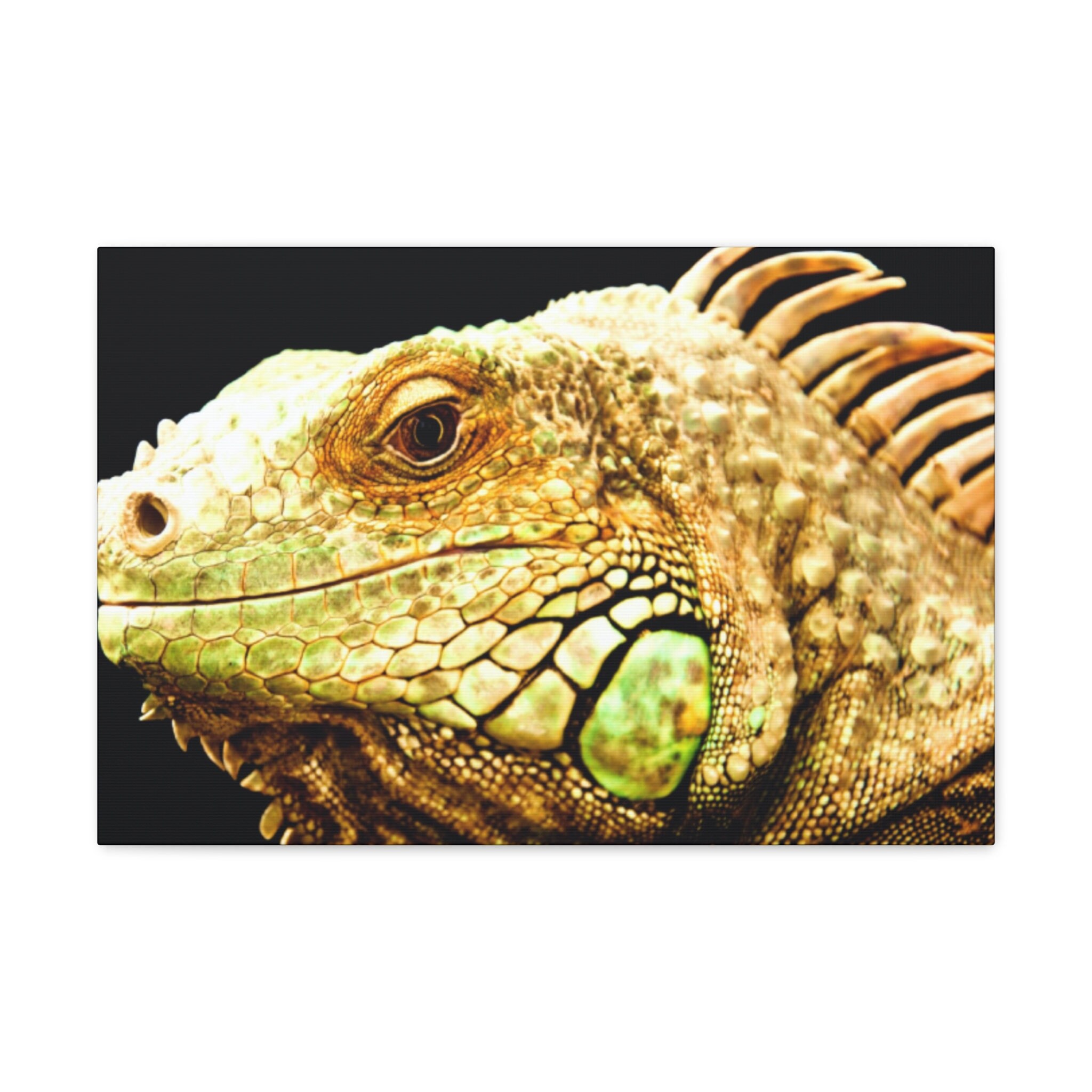 Iguana Print Canvas,lizard Painting on Canvas,iguanas Decor Wall ...