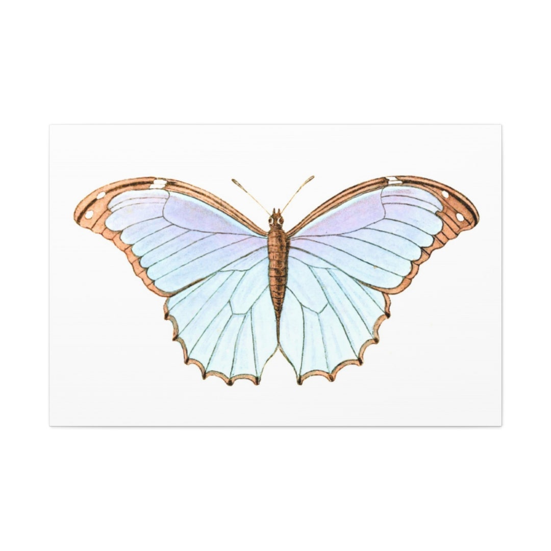 Butterfly Wall Decor,butterfly Wall Art,butterfly Art,butterfly Canvas ...