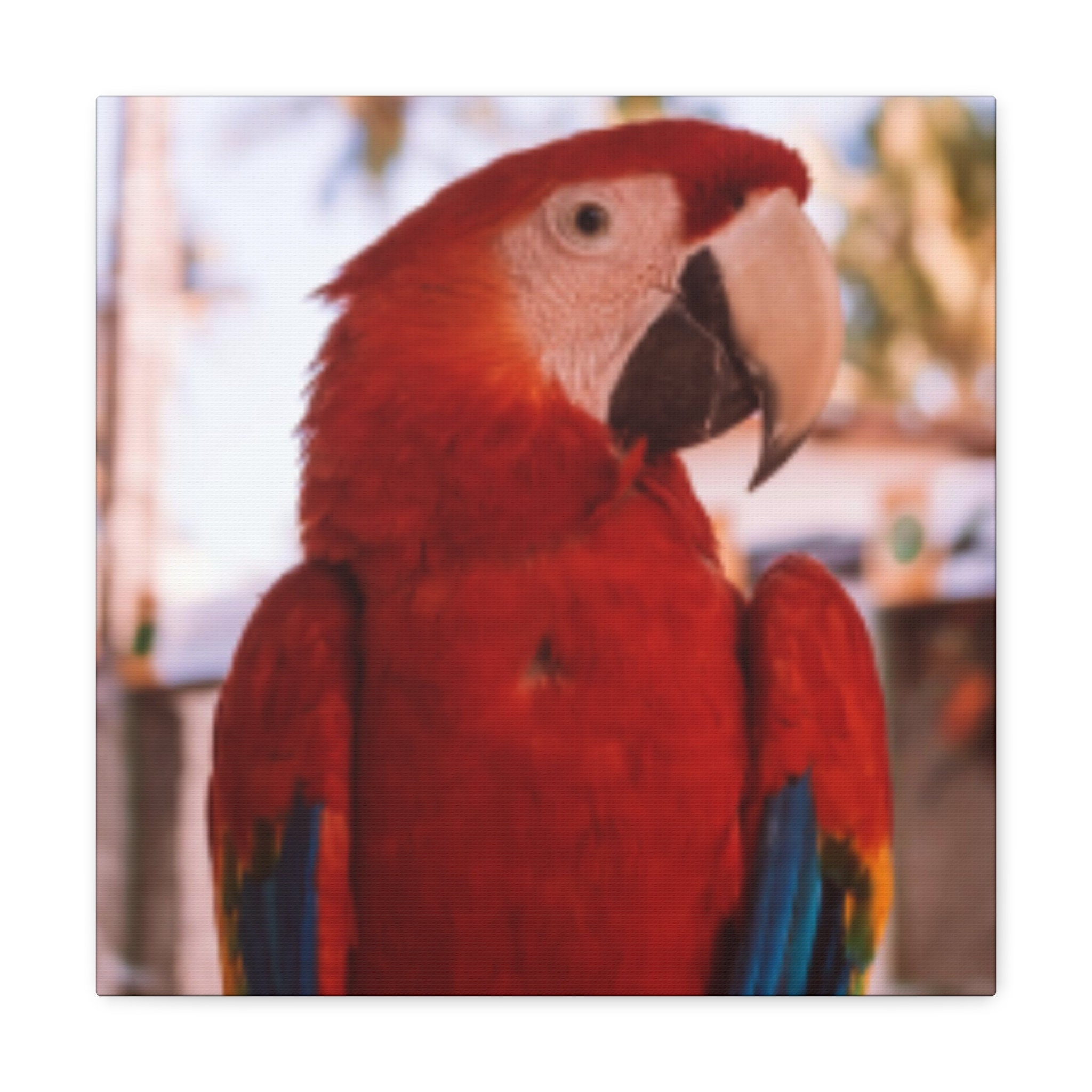 Parrot Canvas Print,colorful Parrot Picture,colorful Parrot Print ...