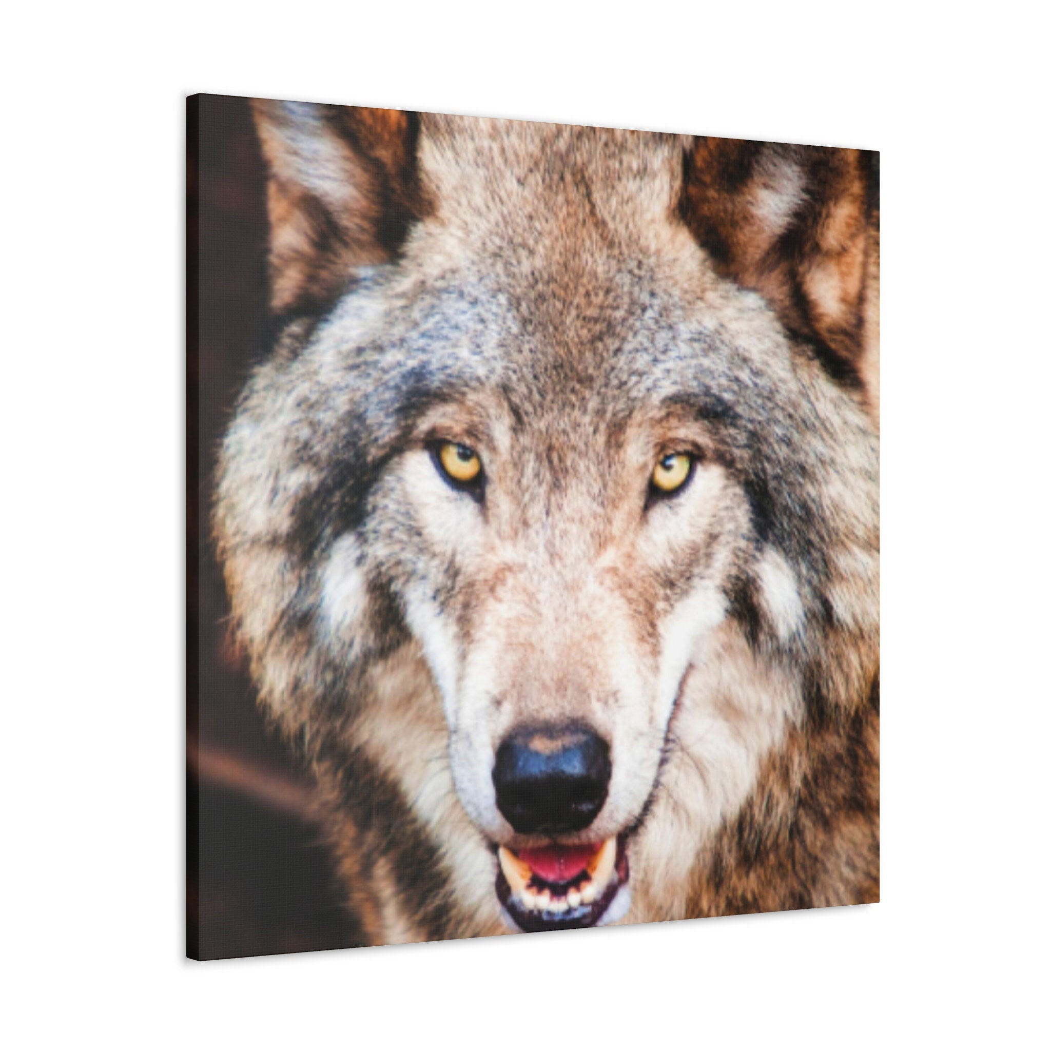 Wolf Canvas Print,wolf Canvas Wall Art,wolf Canvas Wall Hanging ...