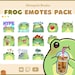 Twitch Screens Animated Frog Retro Pixel Cottagecore Cozy Aesthetics ...