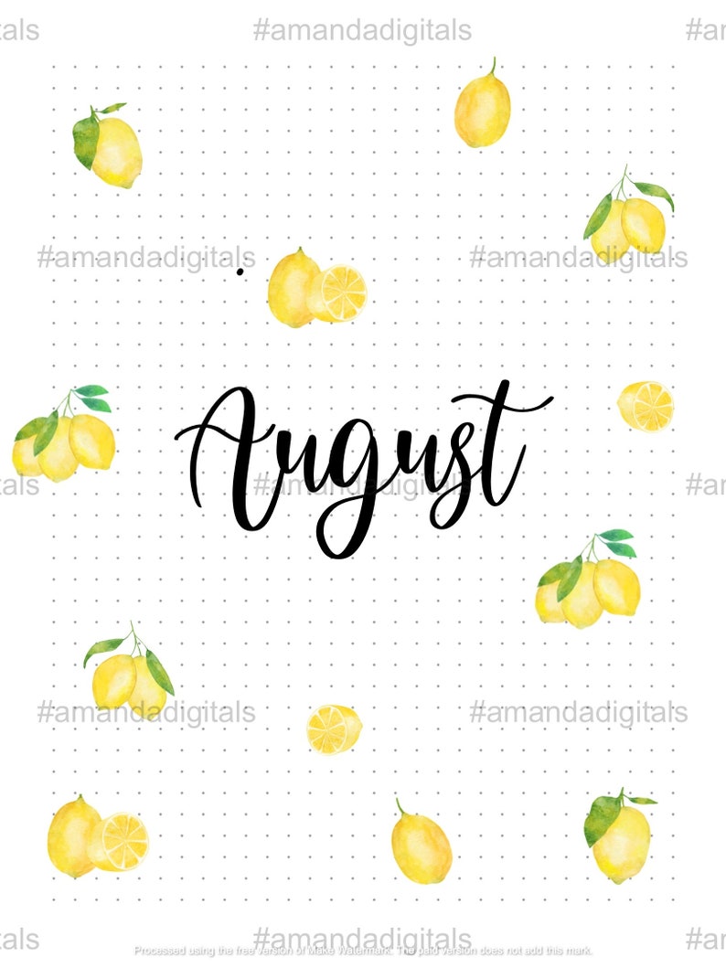August 2024 Digital Bullet Journal - Etsy