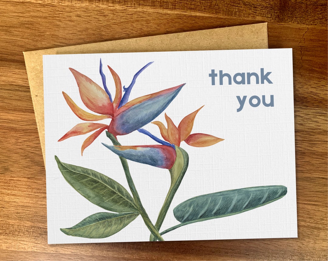 Birds of Paradise Thank You Card, Pretty Handmade Watercolor Flower ...