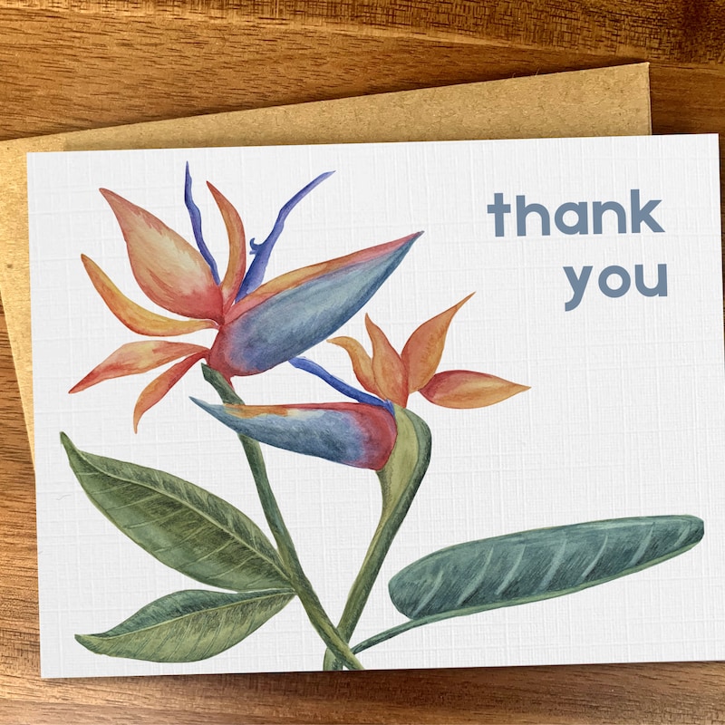 Bird Thank You - Etsy