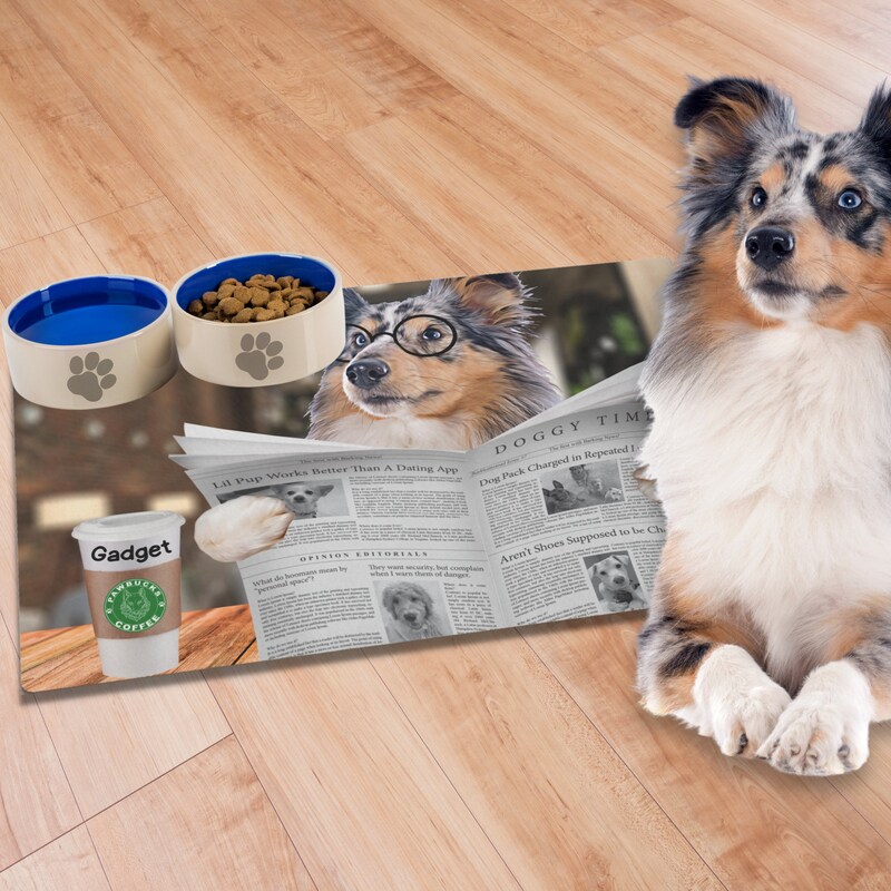 Dog Bowl Mat - Etsy