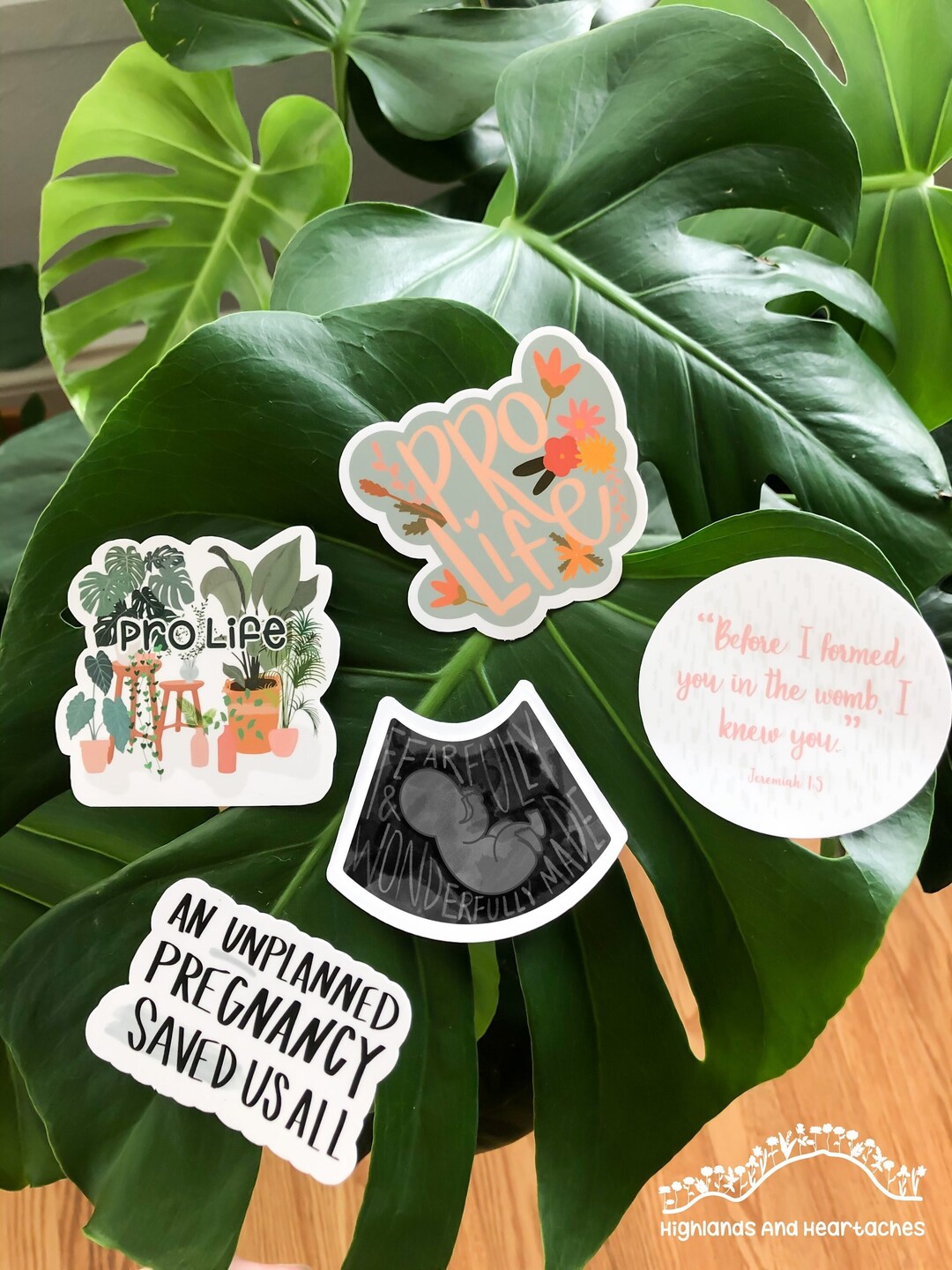 Pro Life Stickers Stop Abortion Sticker for Hydroflask Plant Lover Baby ...