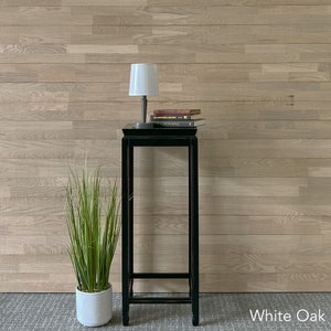 Rustic Shiplap Paneling | 6 Colors of Wood Planks | Accent Walls ...