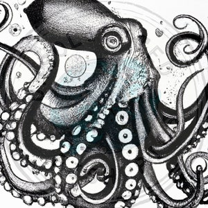 Black Ink Octopus Drawings Home Wall Decor, Digital Download - 4 Pack ...