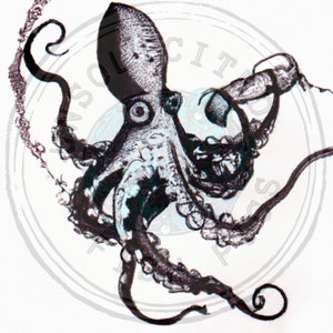 Black Ink Octopus Drawings Home Wall Decor, Digital Download - 4 Pack ...