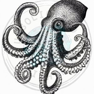 Black Ink Octopus Drawings Home Wall Decor, Digital Download - 4 Pack ...