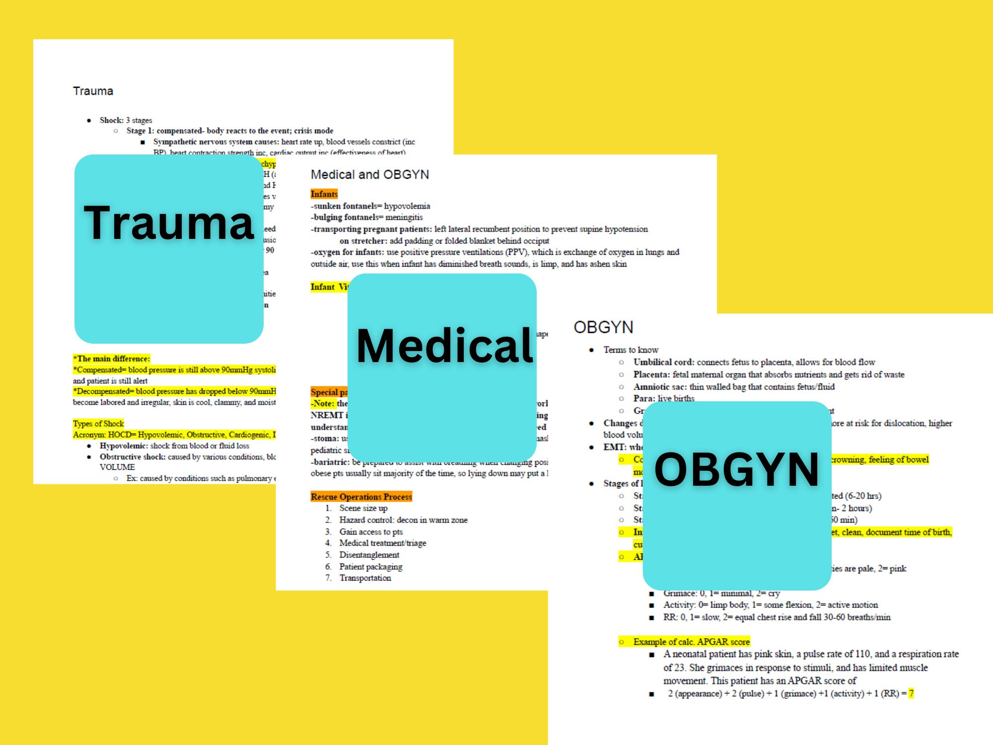 Study Guide for Emergency Medical Technician's emt's Printable Complete ...