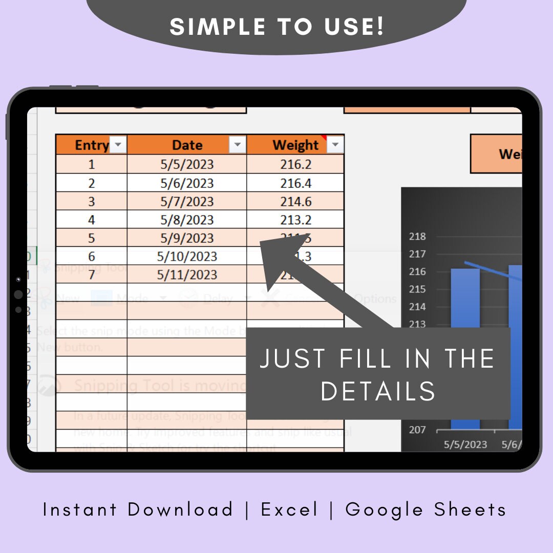 Weight Loss Journal Excel Spreadsheet, Weight Loss Tracker, Weight Loss ...