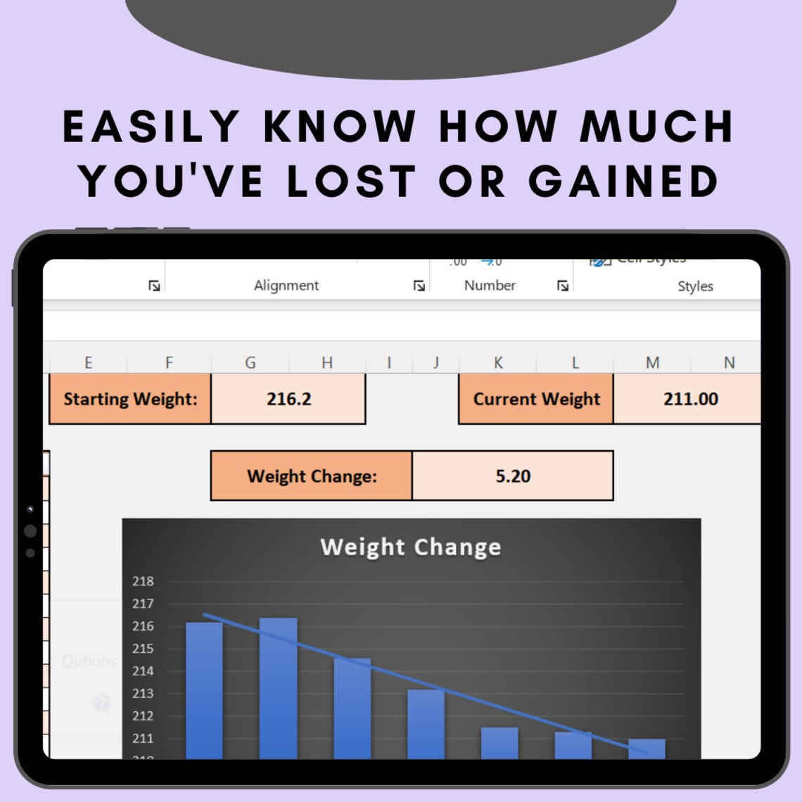 Weight Loss Journal Excel Spreadsheet, Weight Loss Tracker, Weight Loss ...