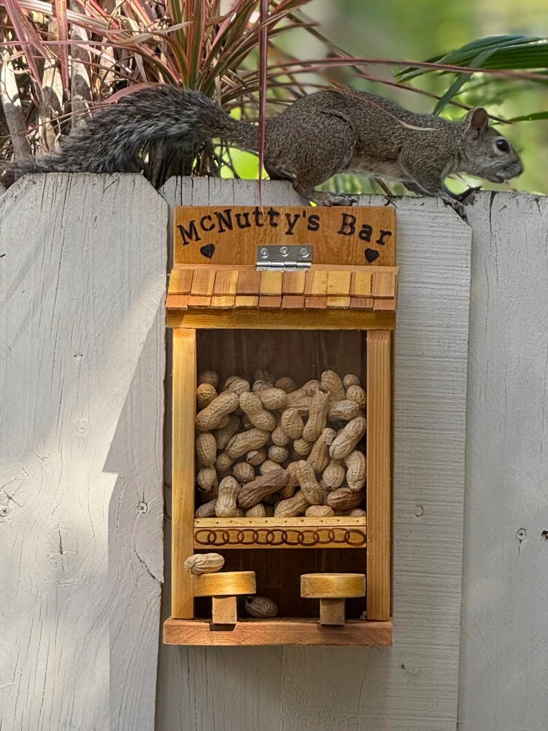 Squirrel Feeder Nut Bar Customized Outside Handmade - Etsy