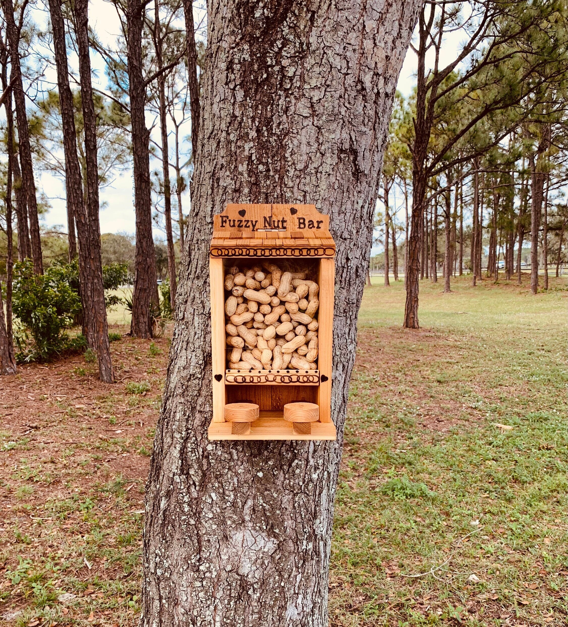 Squirrel Feeder fuzzy Nut Bar - Etsy