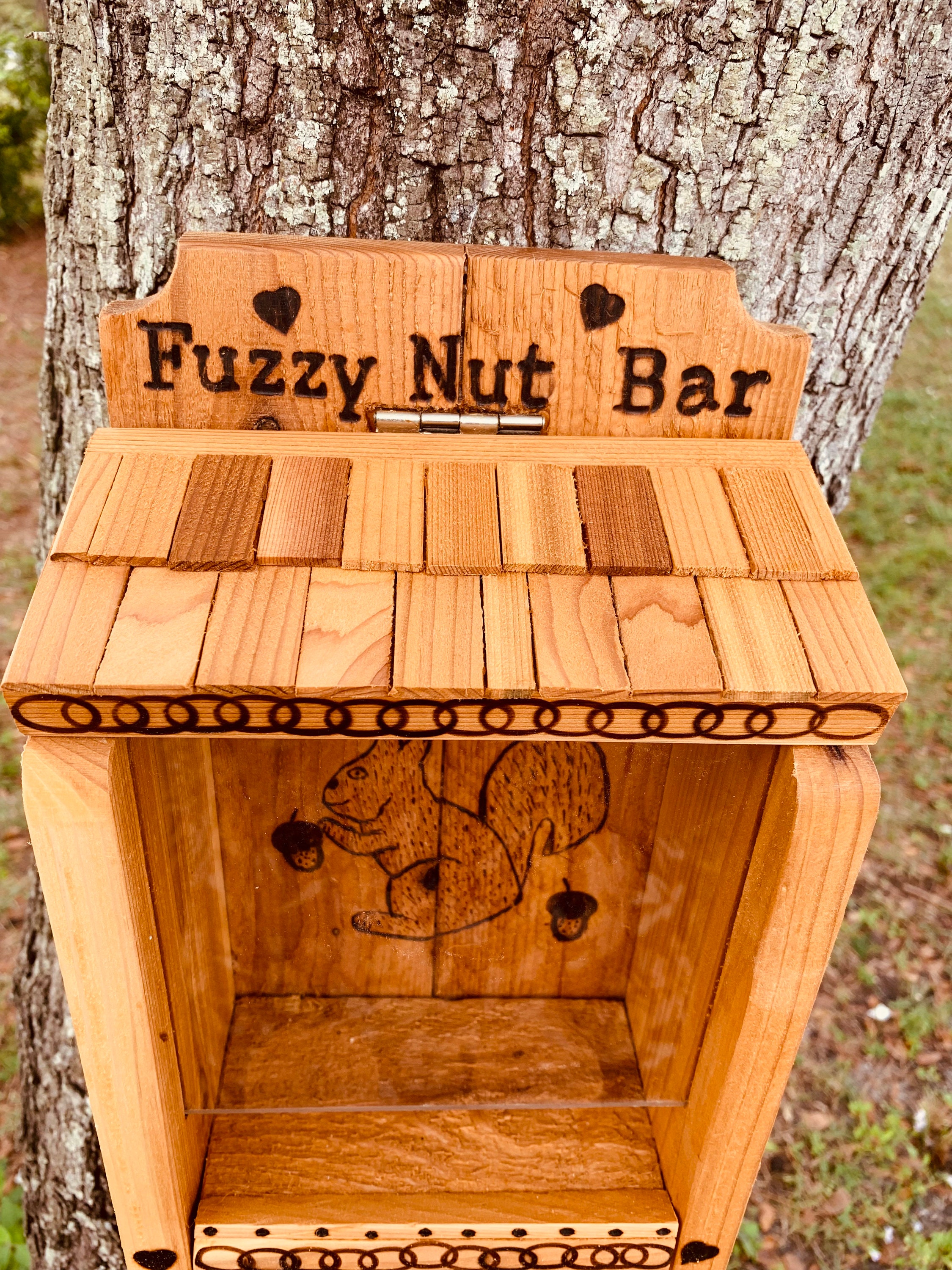 Squirrel Feeder fuzzy Nut Bar - Etsy