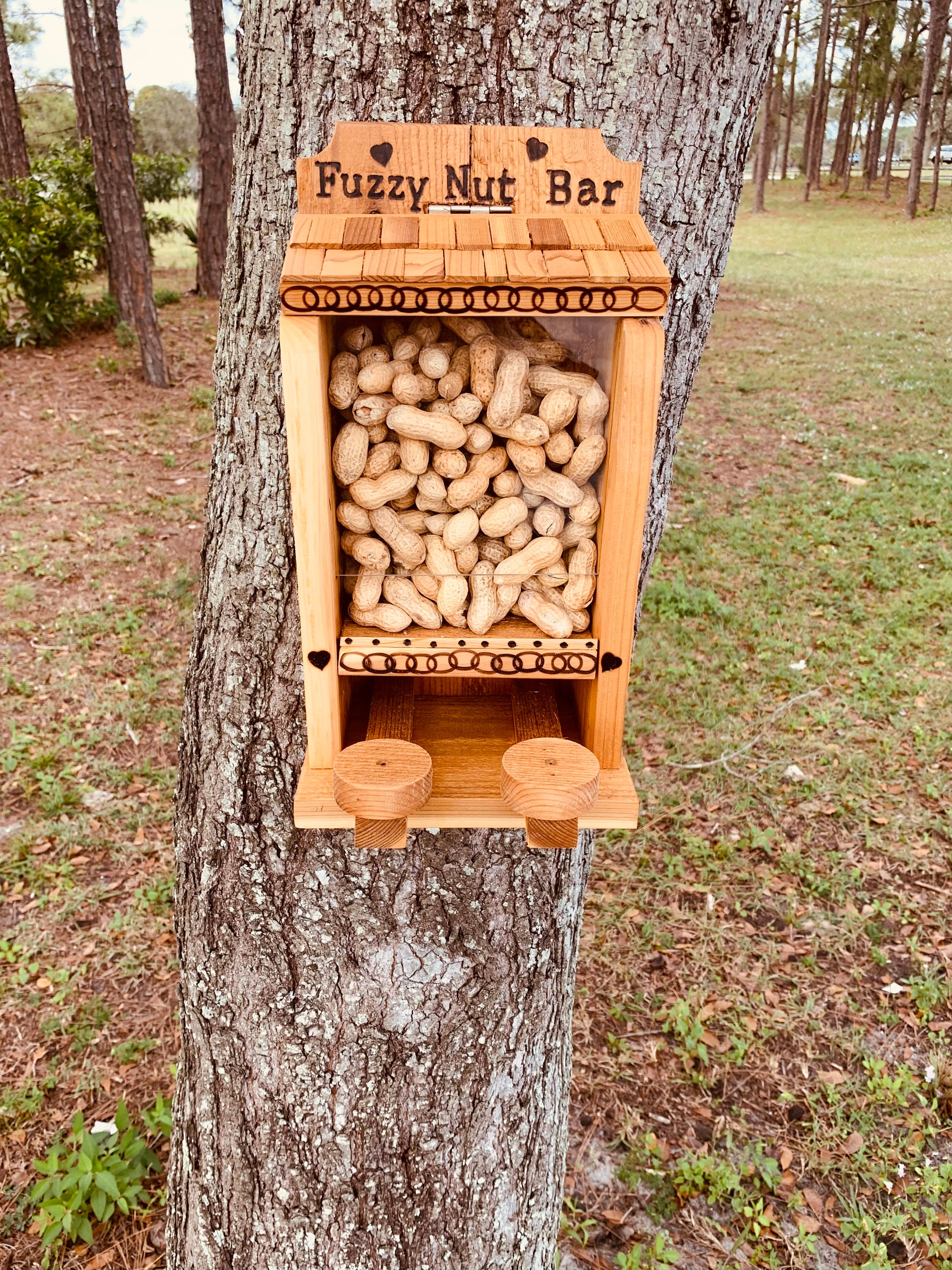 Squirrel Feeder fuzzy Nut Bar - Etsy
