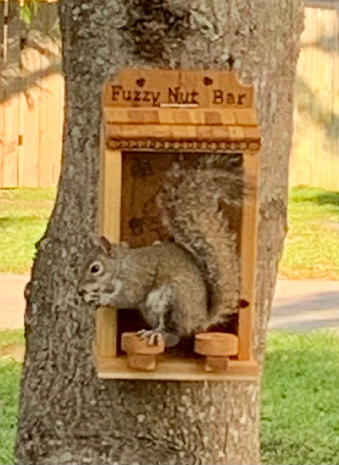 Squirrel Feeder fuzzy Nut Bar - Etsy