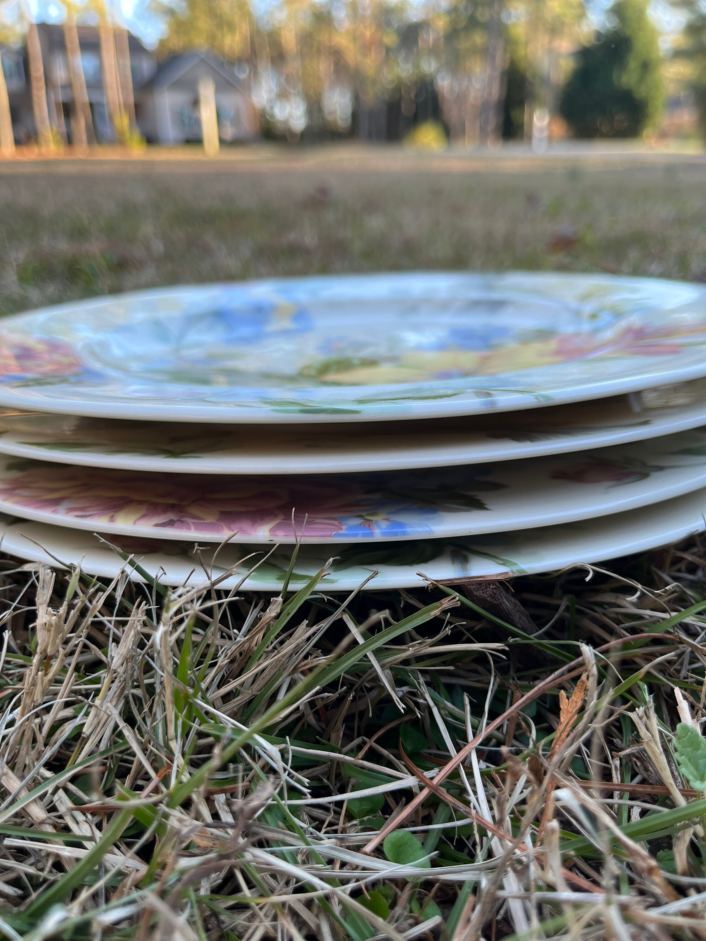 Stunning Floral Oscar De La Renta Designer Plates From Mikasa. Set of 4 ...