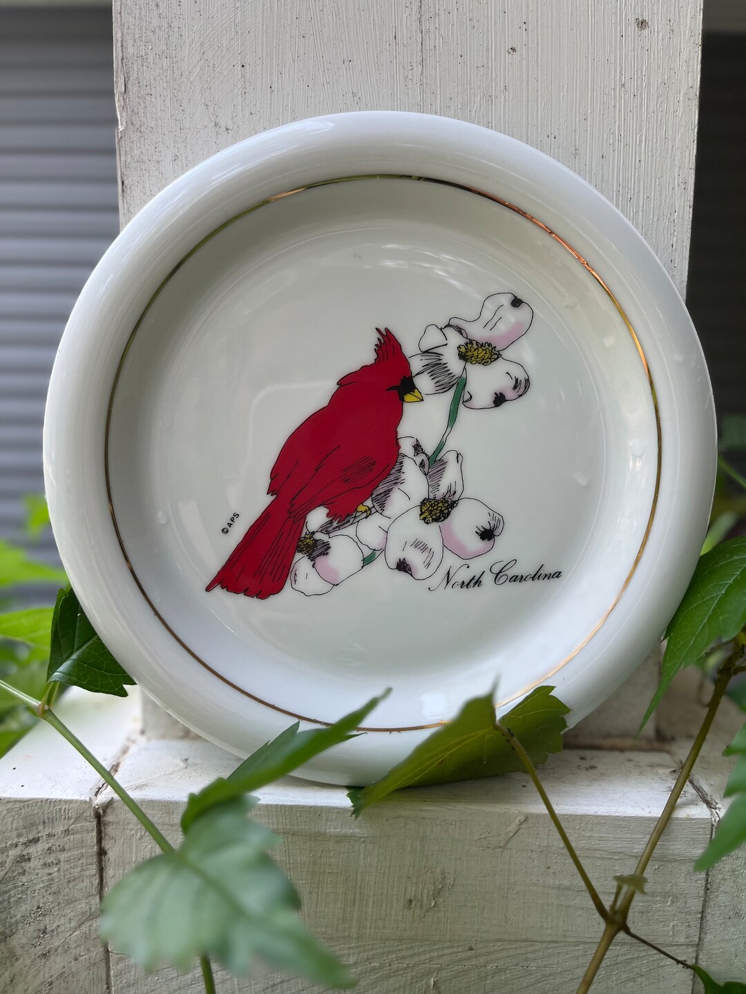 North Carolina State Symbols Cardinal and Dogwood Flower on a - Etsy