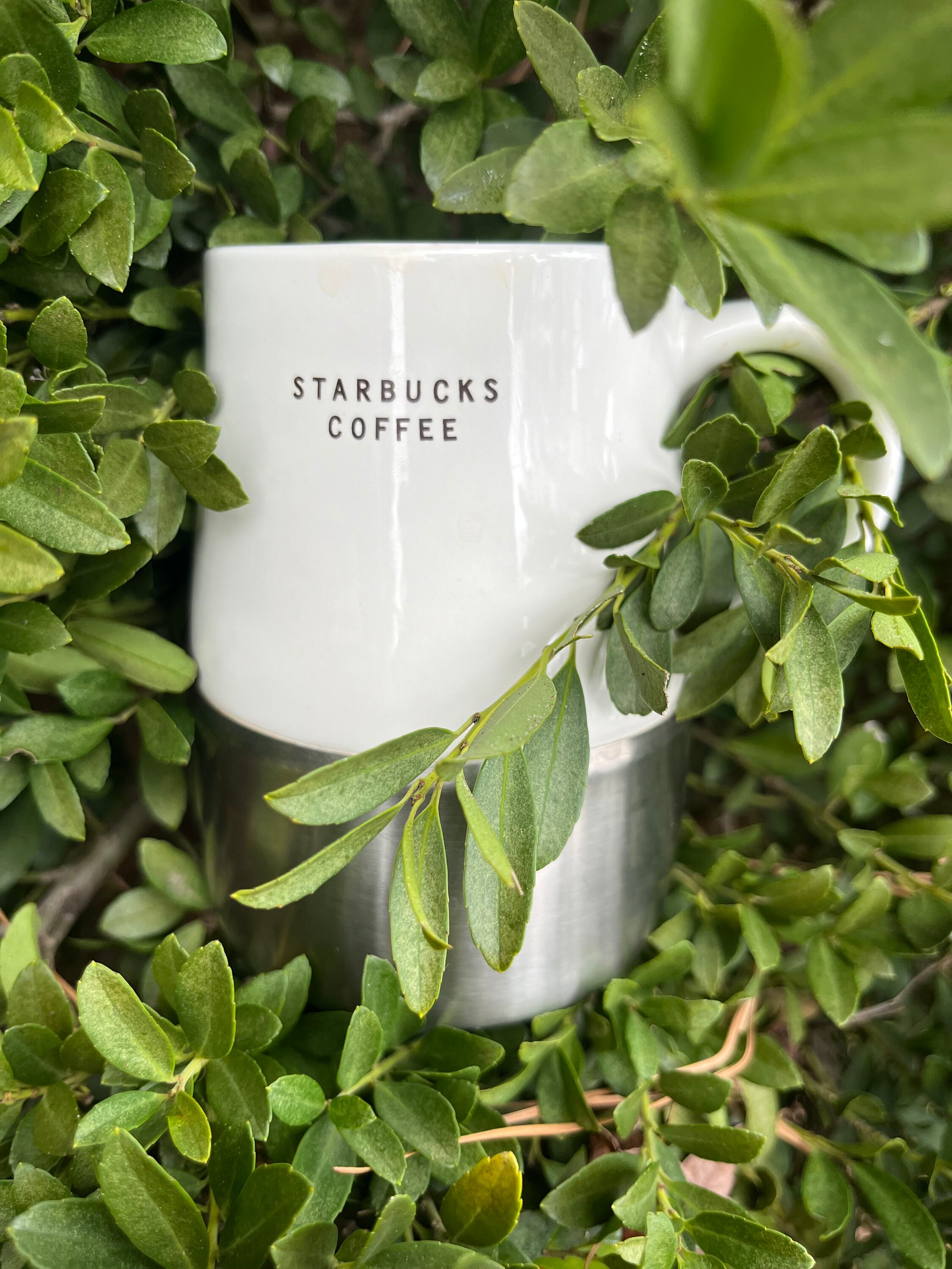 Minimalistic and Simple Starbucks Coffee Mug From 2004 - Etsy