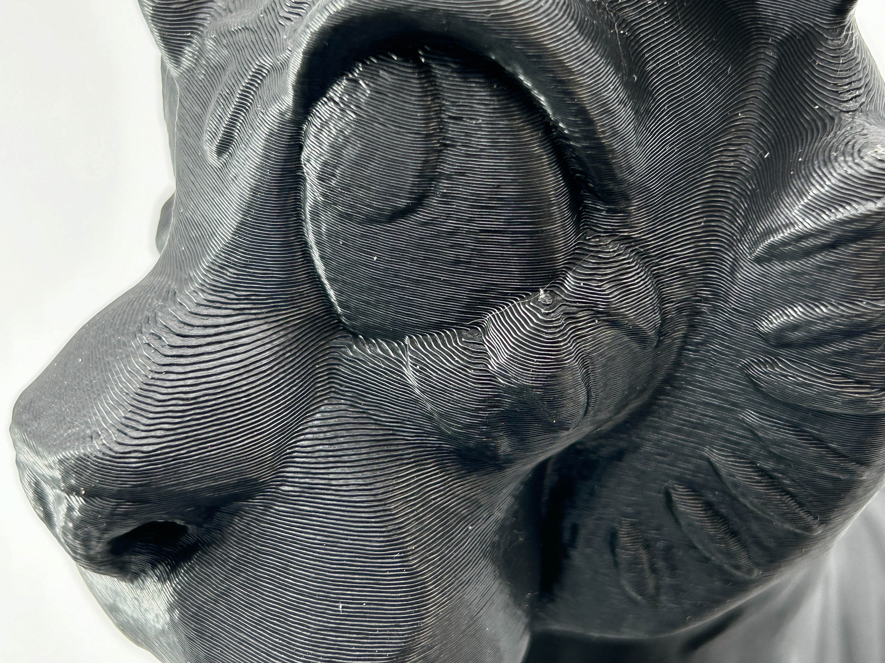 3D Printed Tiger Bank, Fun Art Project, Unique Cat Piggy Bank for Money ...