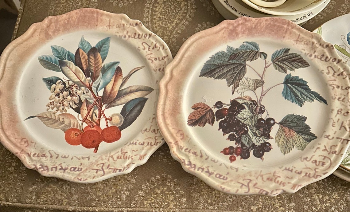 Vietri 8 1/4” Plates Set of 2 - Etsy