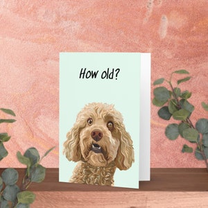 Funny Cockapoo Birthday Card, How Old Surprised Teasing Humorous Joke ...