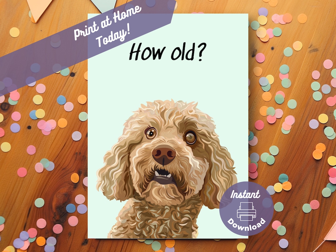 Printable Funny Cockapoo Birthday Card, Instant Download, Print at Home ...