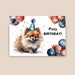 Pomeranian Birthday Card, Happy Birthday Party Hat and Balloons ...