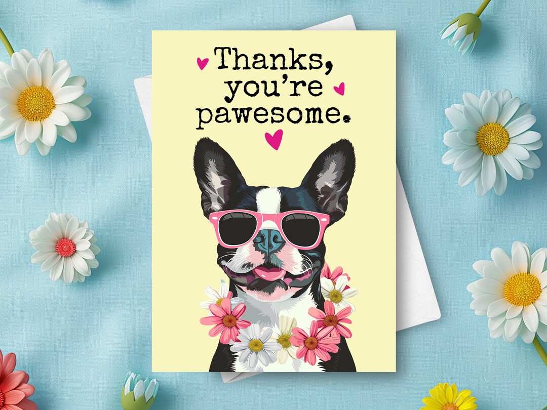 Boston Terrier Funny Thank You Card, Pet Dog Thanks Humorous Pun ...