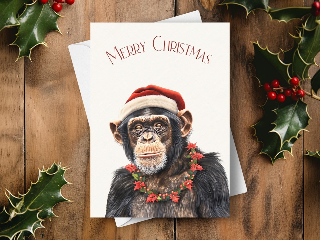 Chimpanzee Christmas Card, Wearing A Santa Hat and Red Poinsettia ...