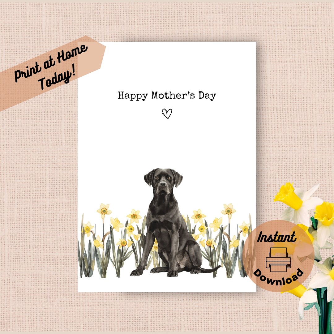 Printable Black Lab Mother’s Day Card, Instant Download Print at Home ...