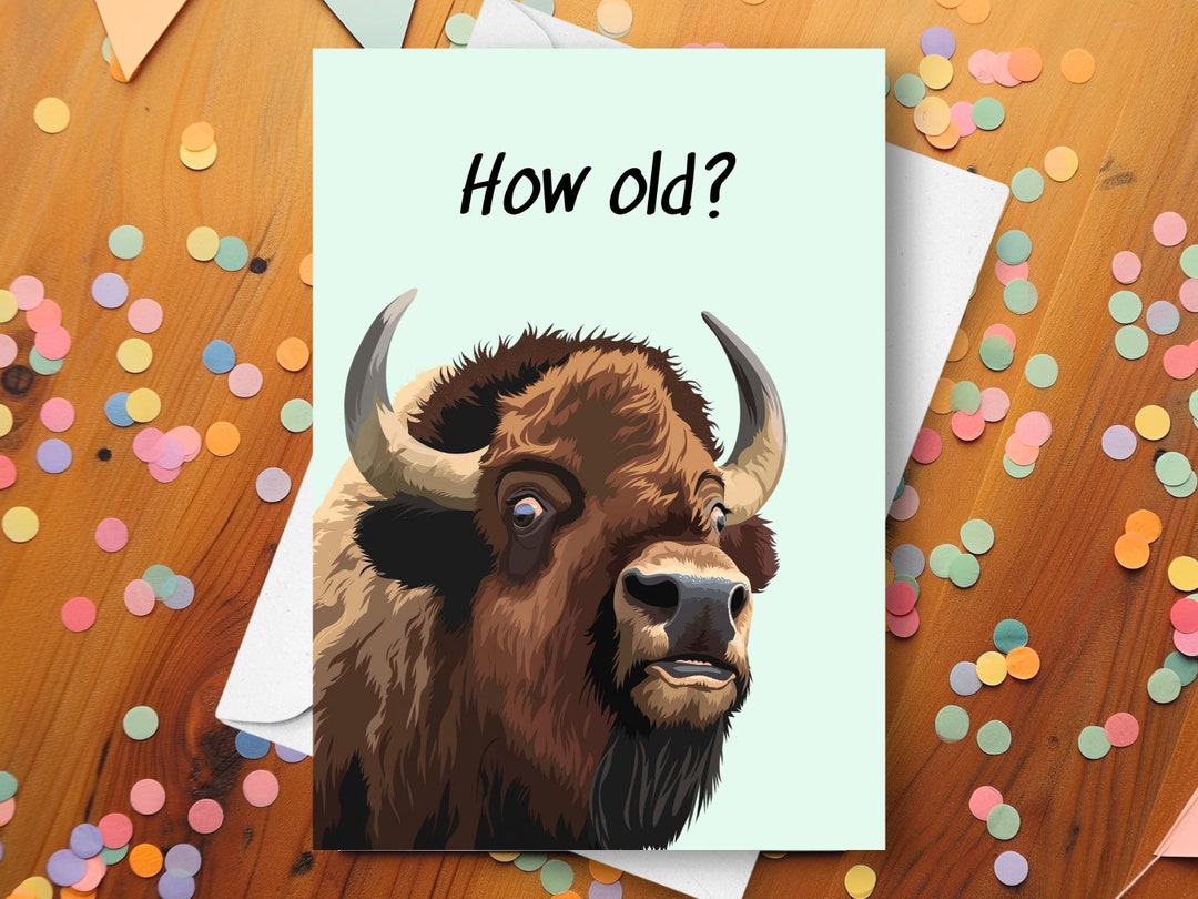 Funny Buffalo Birthday Card, Bison Bday Present, How Old Surprised ...