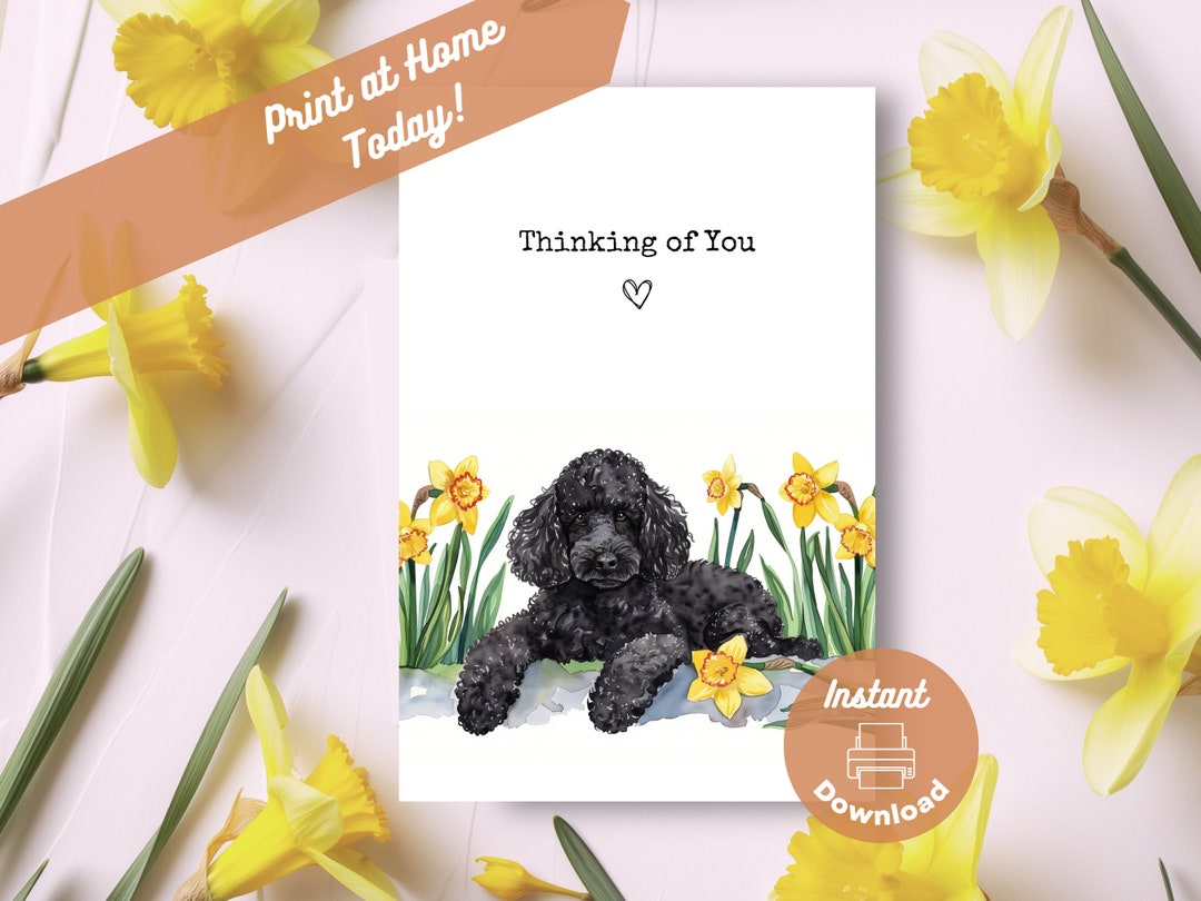 Printable Poodle Thinking of You Card, Instant Download Print at Home ...