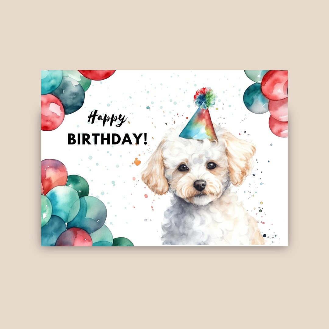 Bichon Frise Birthday Card, Happy Birthday Party Hat and Balloons ...