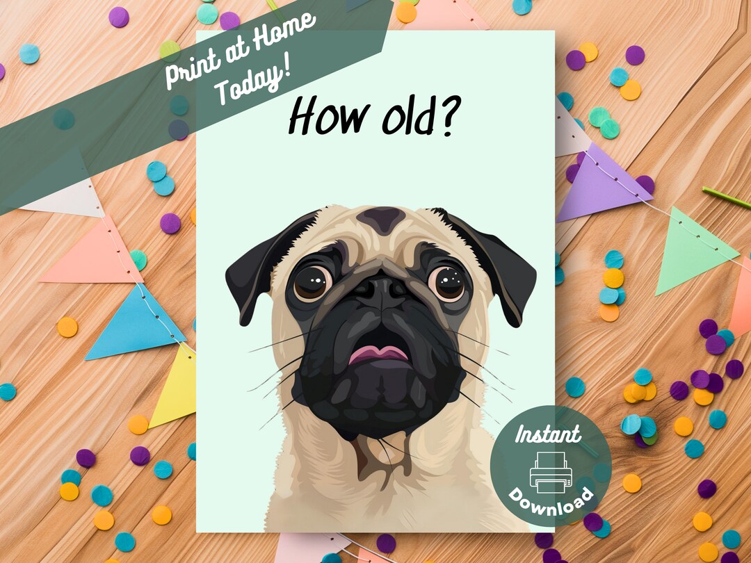 Printable Funny Pug Birthday Card, Instant Download, Print at Home Card ...