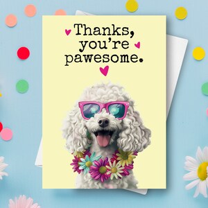 Funny Poodle Thank You Card, Pet Dog Thanks Humorous Pun Greeting ...