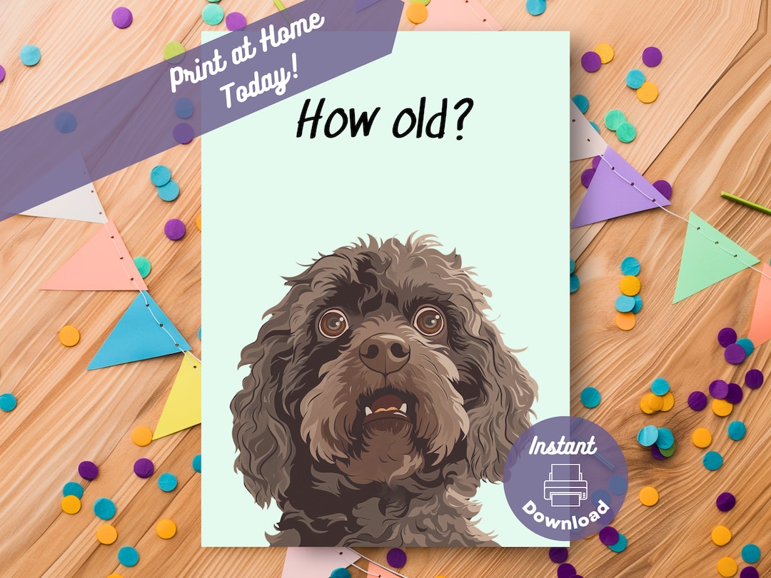 Printable Funny Labradoodle Birthday Card, Instant Download, Print at ...
