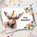 Moose Birthday Card With Party Hat, Happy Birthday, Moose Gift ...