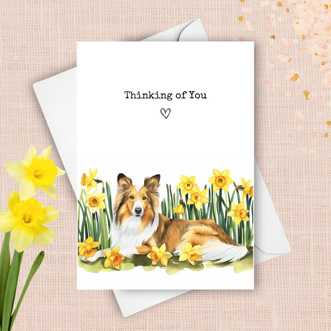 Collie Thinking of You Card, Pet Dog Sending Cheer Love Greeting, Rough ...