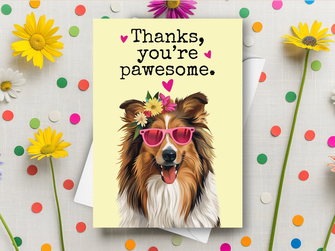 Collie Thank You Card, Funny Pet Dog Thanks Humorous Pun Greeting ...