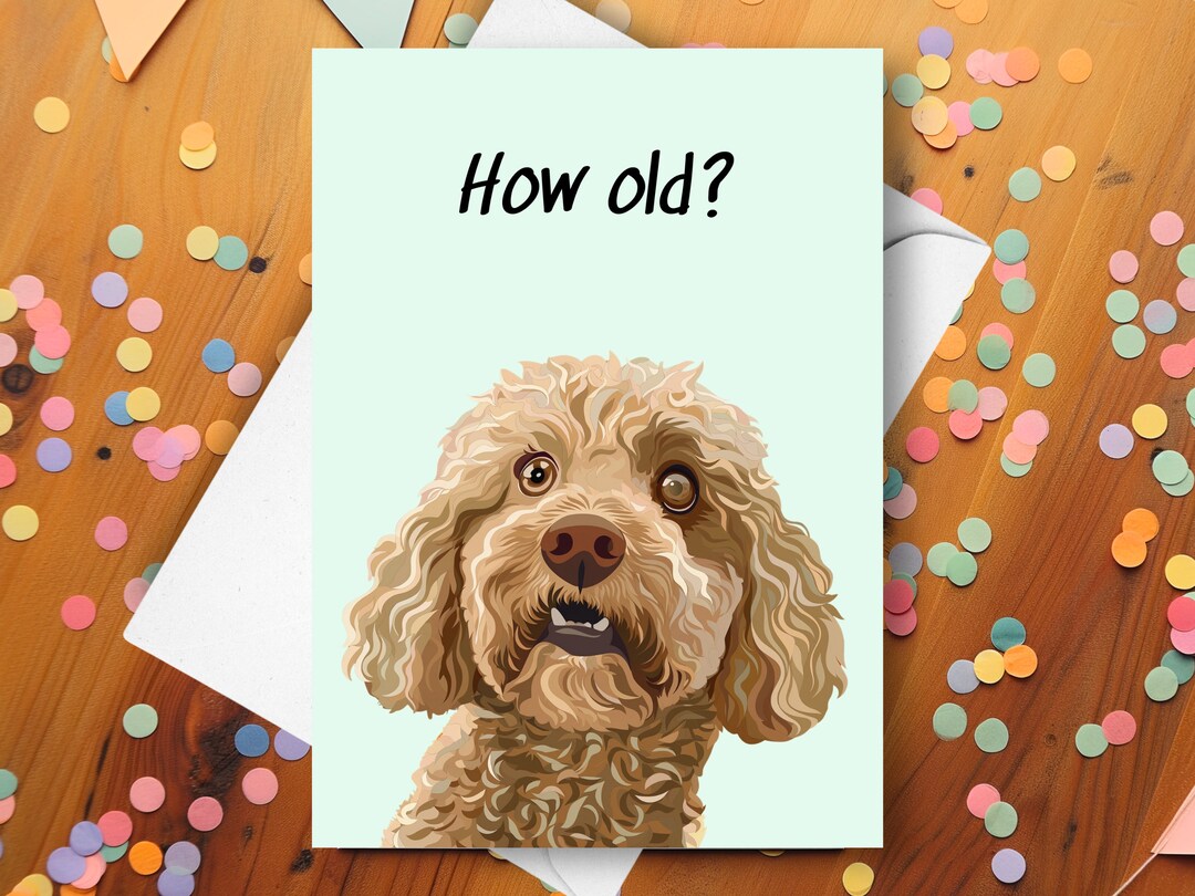 Funny Cockapoo Birthday Card, How Old Surprised Teasing Humorous Joke ...