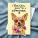Dachshund Funny Thank You Card, Pet Dog Thanks Humorous Pun Greeting ...
